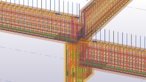 Delhaize Reet - ProjectInSight